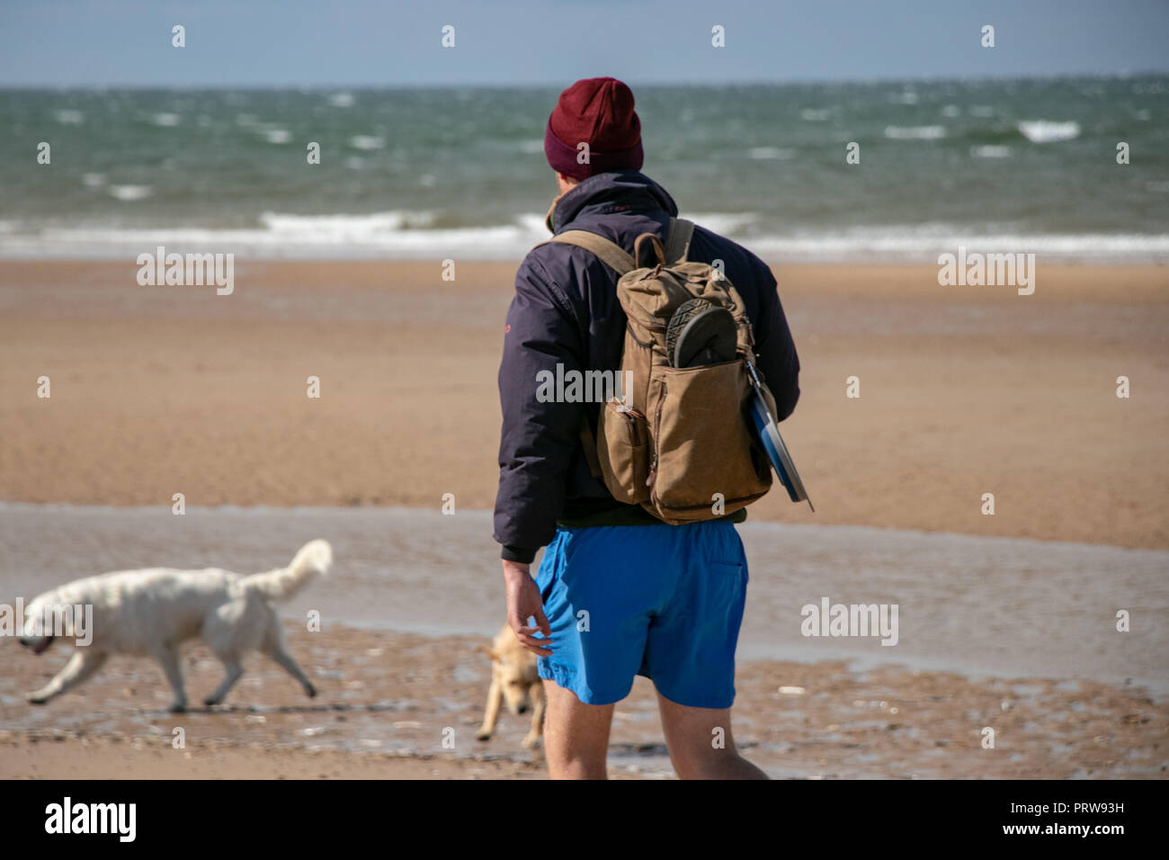 Man carrying rucksack walks on beach with his dog with the ocean in ...