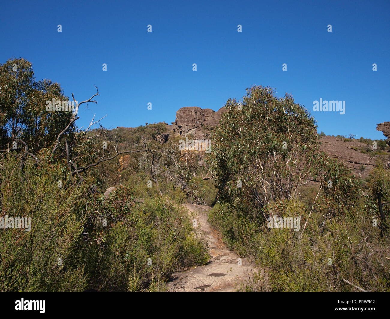National park walking trail australia hi-res stock photography and ...