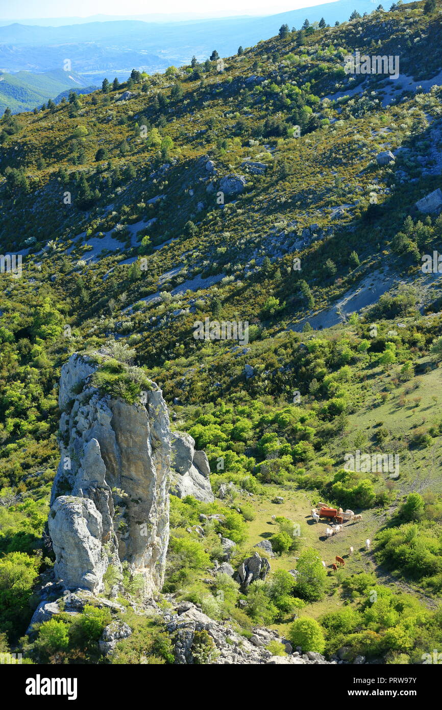 Paysage provence hi-res stock photography and images - Alamy