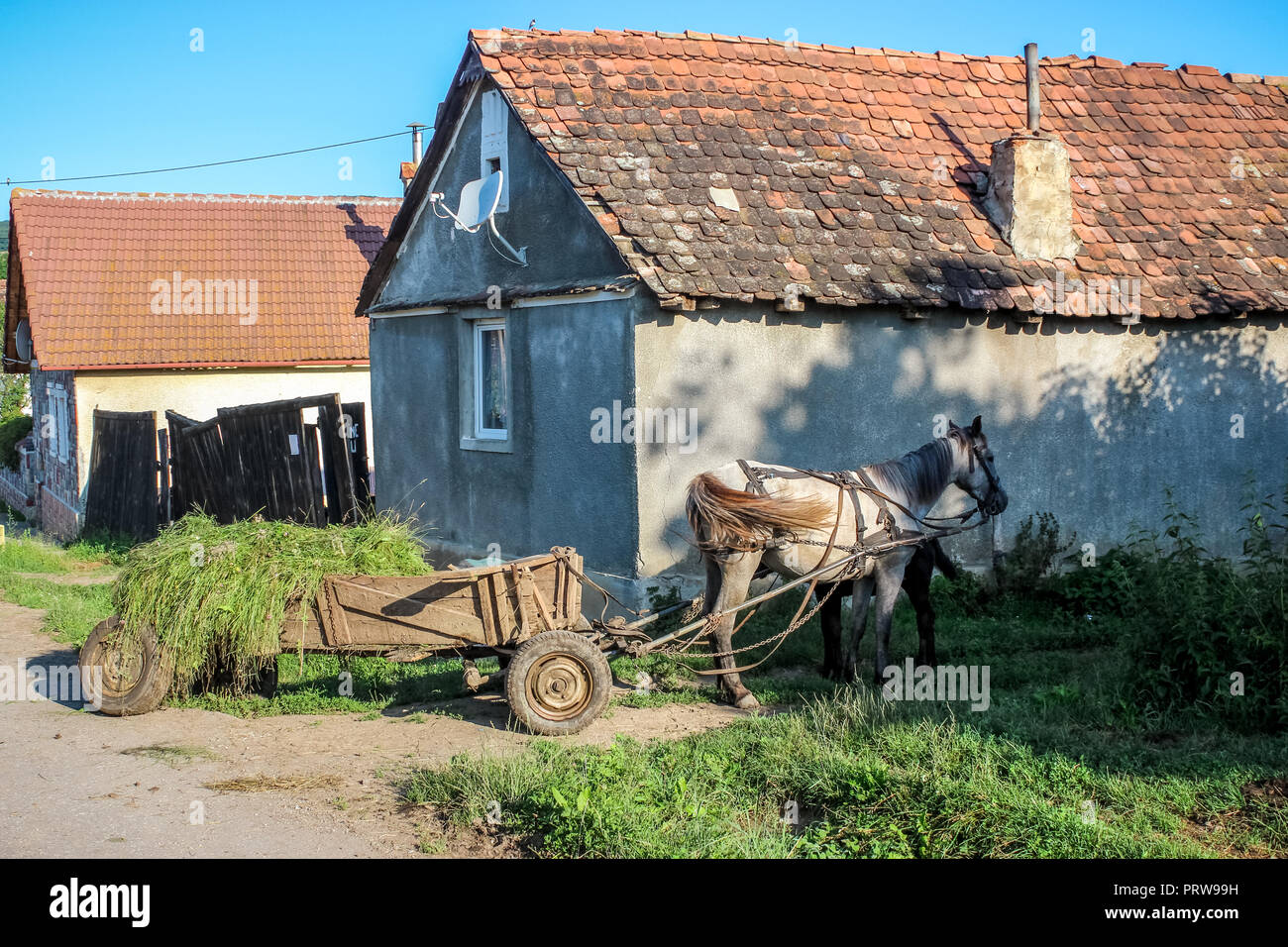 Saxon farming hi-res stock photography and images - Alamy