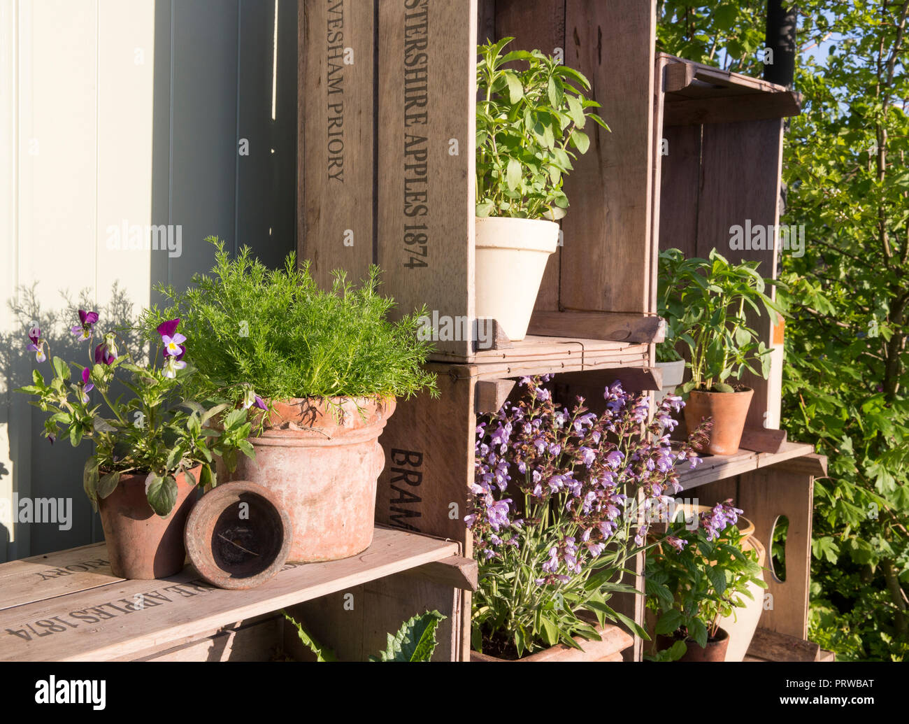 Summer pot displays hi-res stock photography and images - Alamy