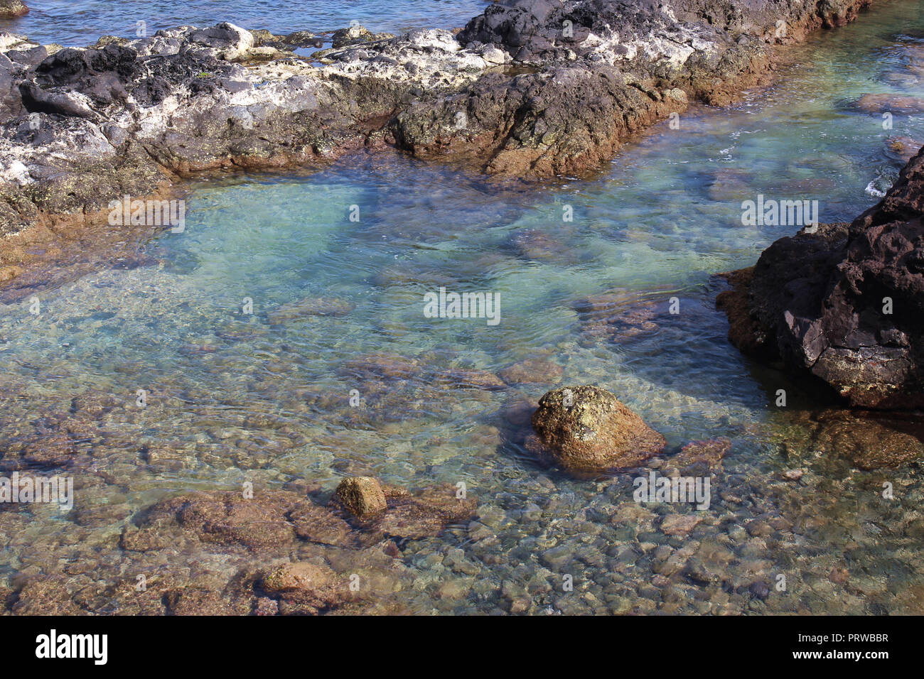 Tide pools formed in rocky hi-res stock photography and images - Alamy
