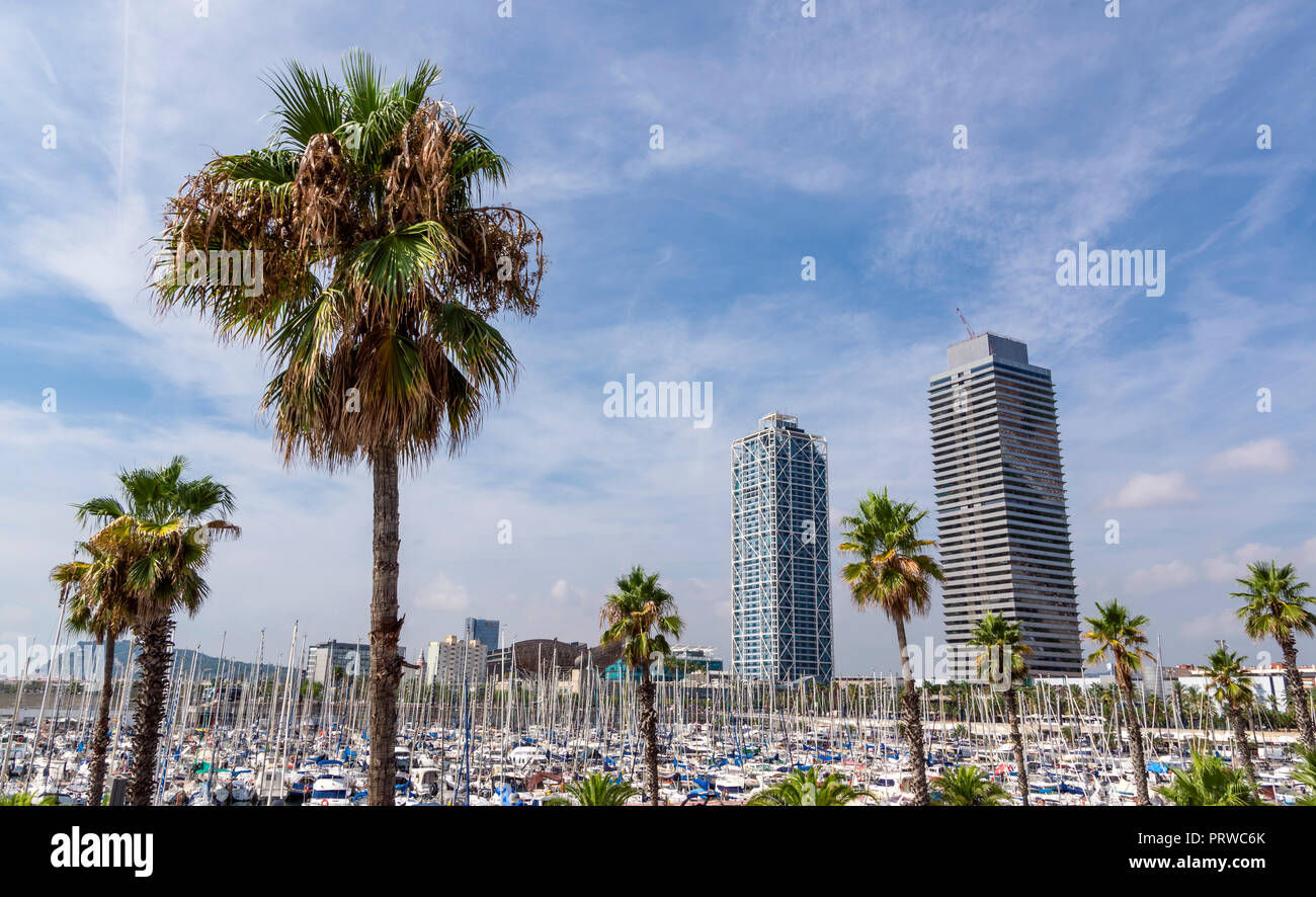 Barcelona palm tree hi-res stock photography and images - Alamy