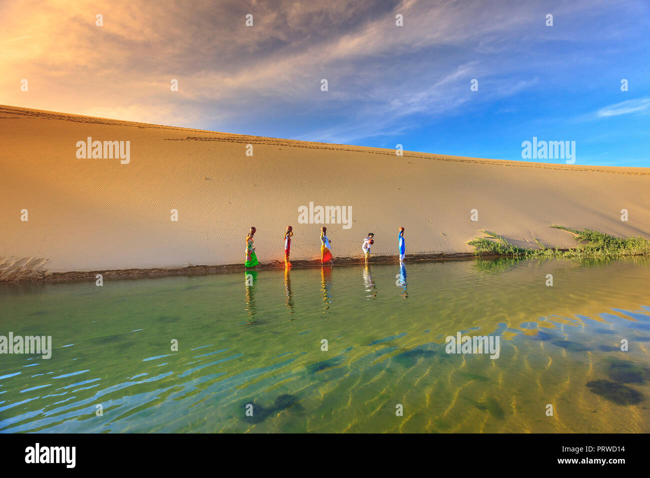 Cham women in traditional dress walking across sand dunes to collecting ...
