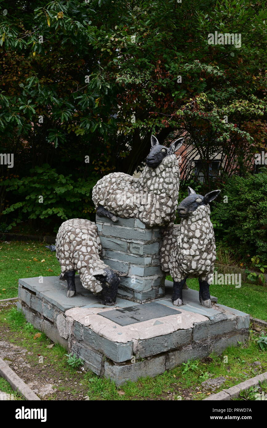 Sheep in castlefield hi-res stock photography and images - Alamy