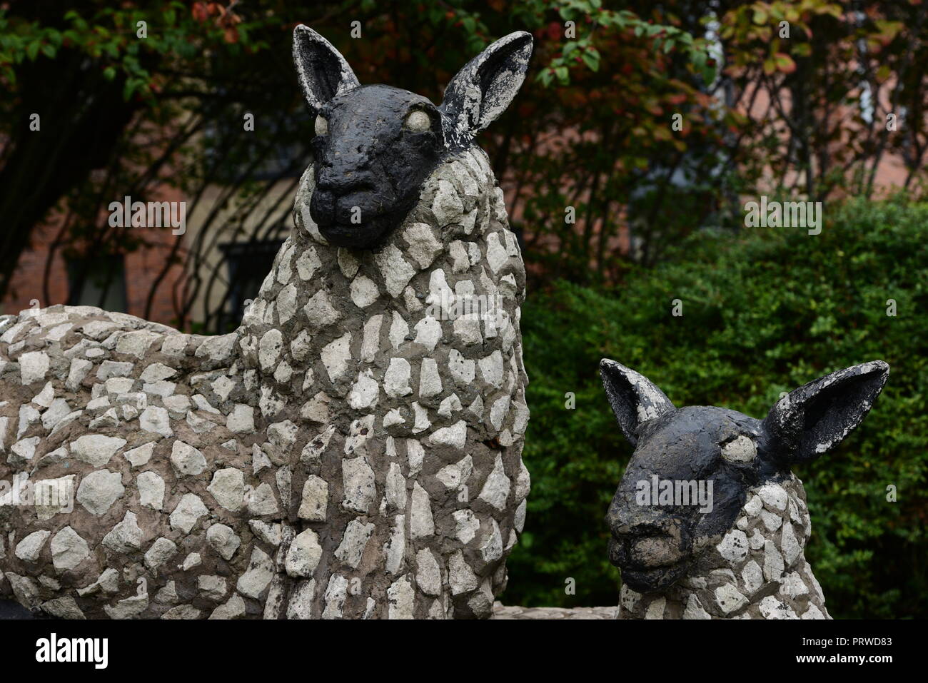 Castlefield sheep hi-res stock photography and images - Alamy