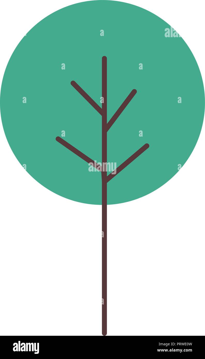 tree plant isolated icon Stock Vector Image & Art - Alamy