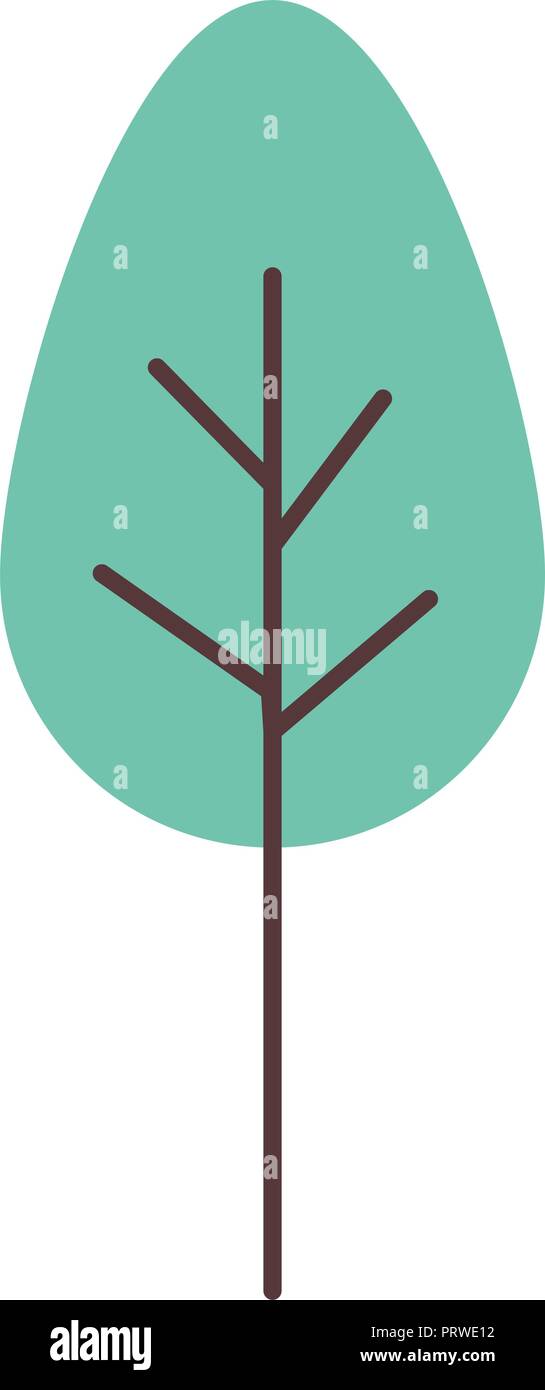 tree plant isolated icon Stock Vector Image & Art - Alamy