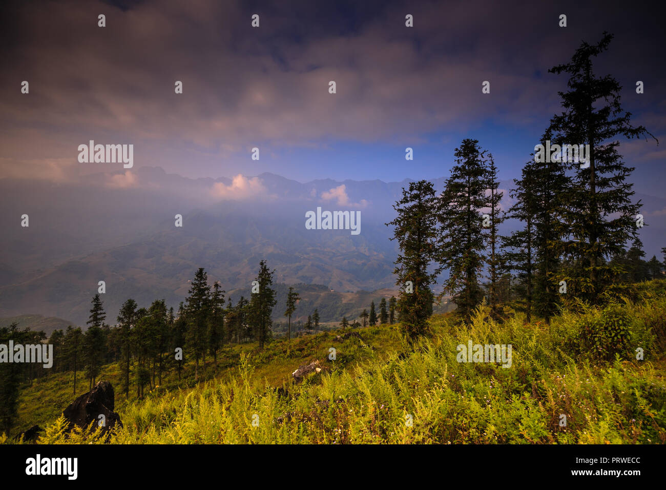 Morning on alpine Sapa Stock Photo - Alamy