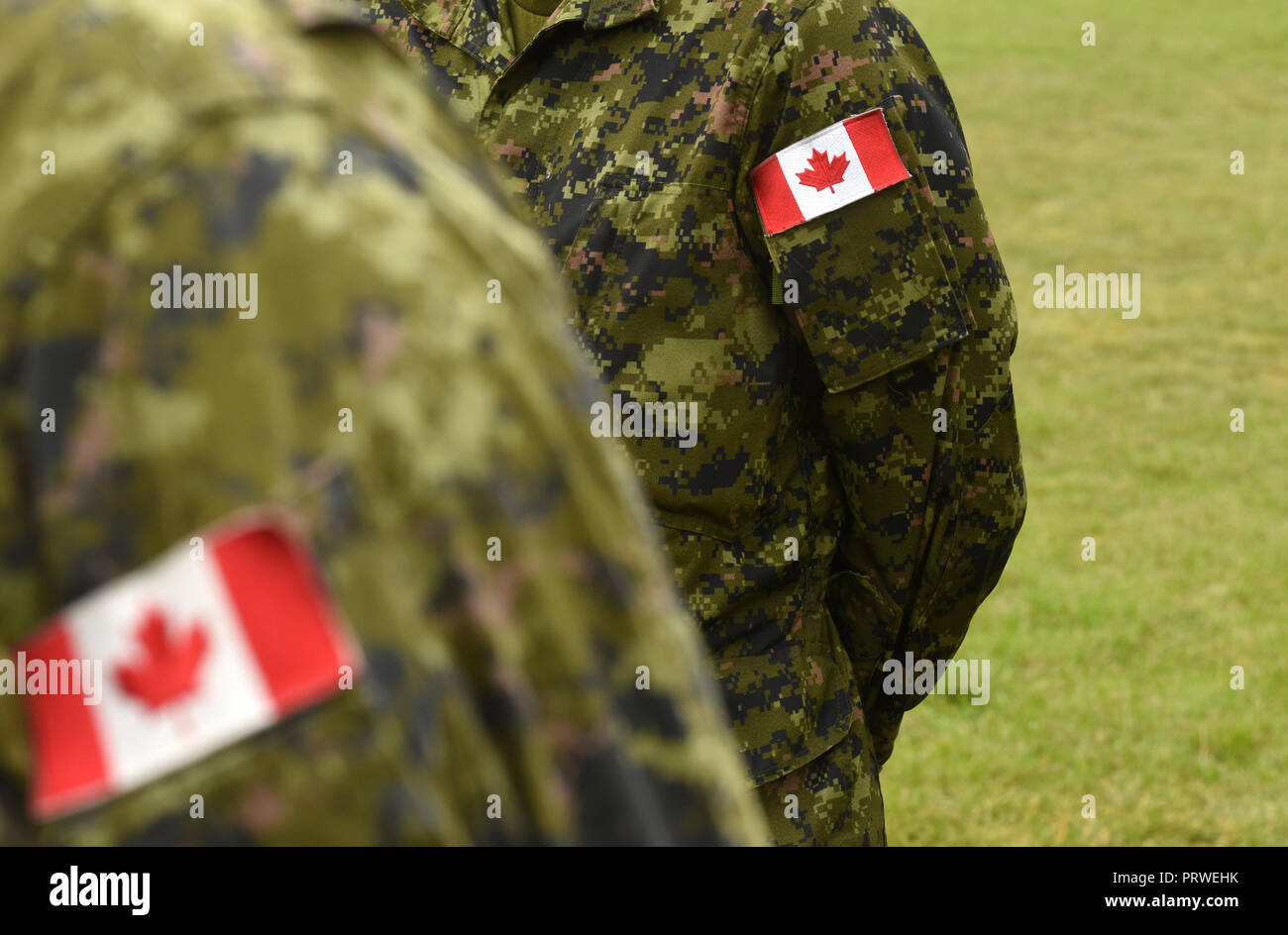 Canadian troops ukraine hi-res stock photography and images - Alamy