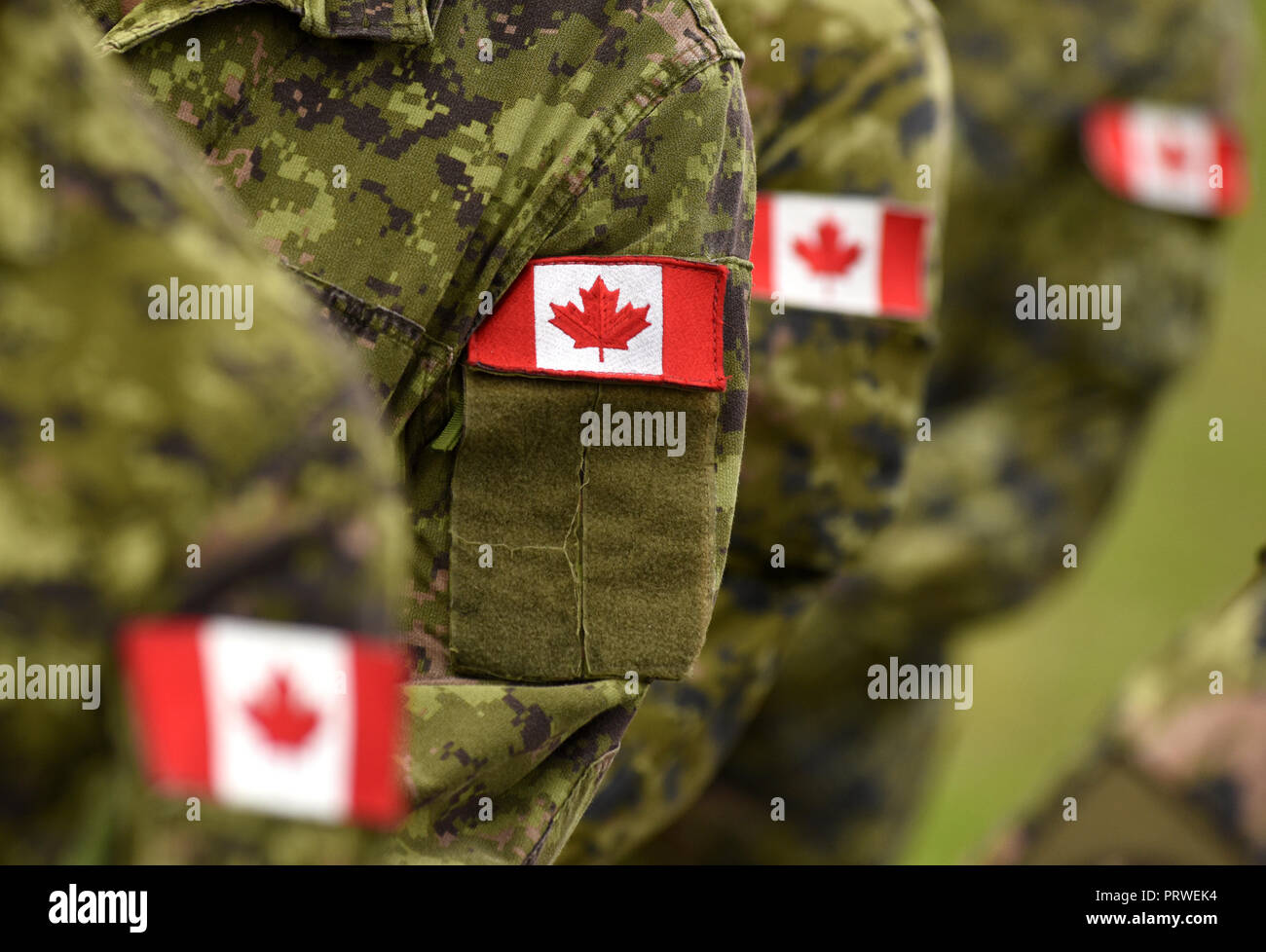 Canadian troops ukraine hi-res stock photography and images - Alamy