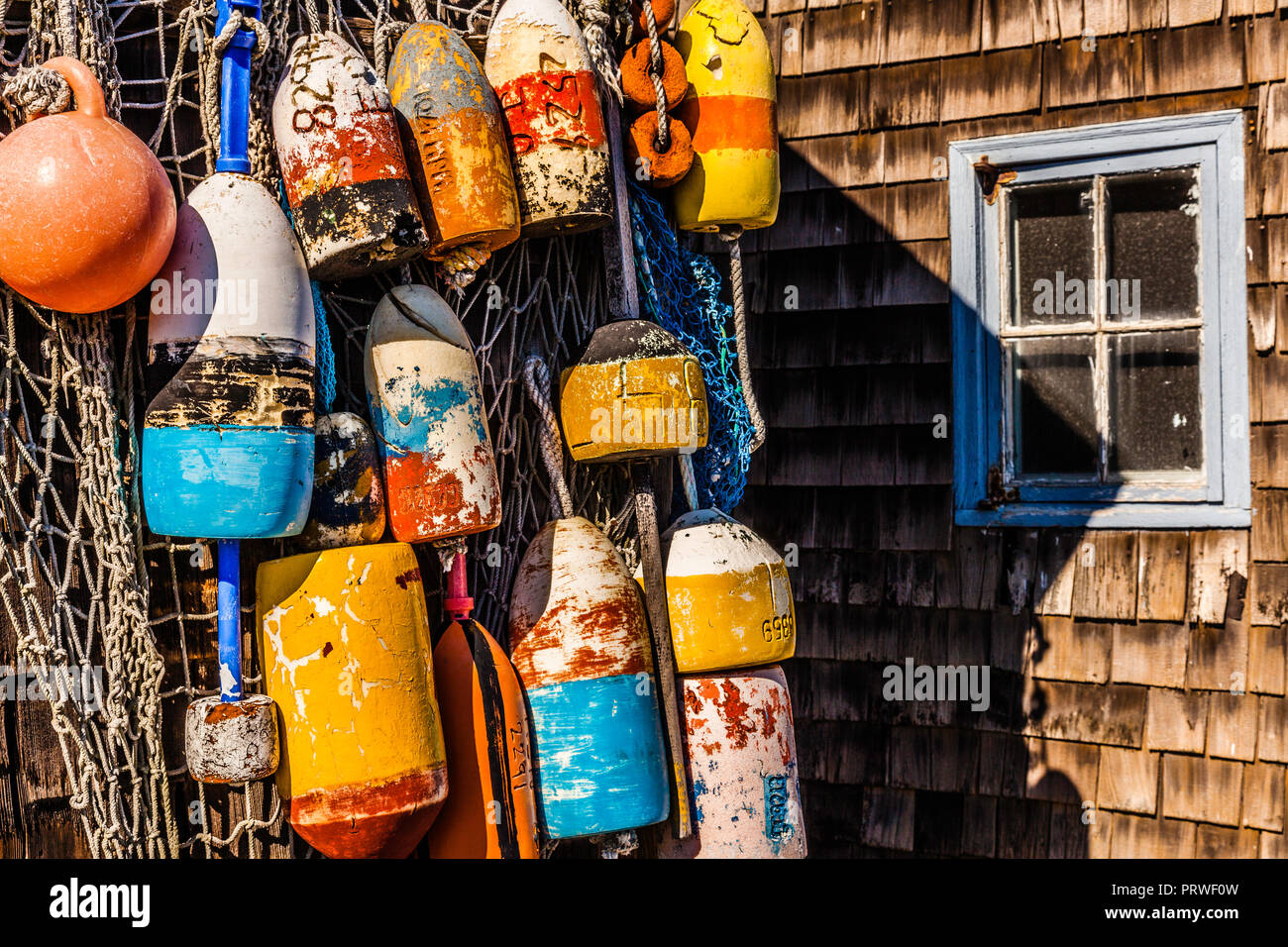 Bear skin dock hi-res stock photography and images - Alamy