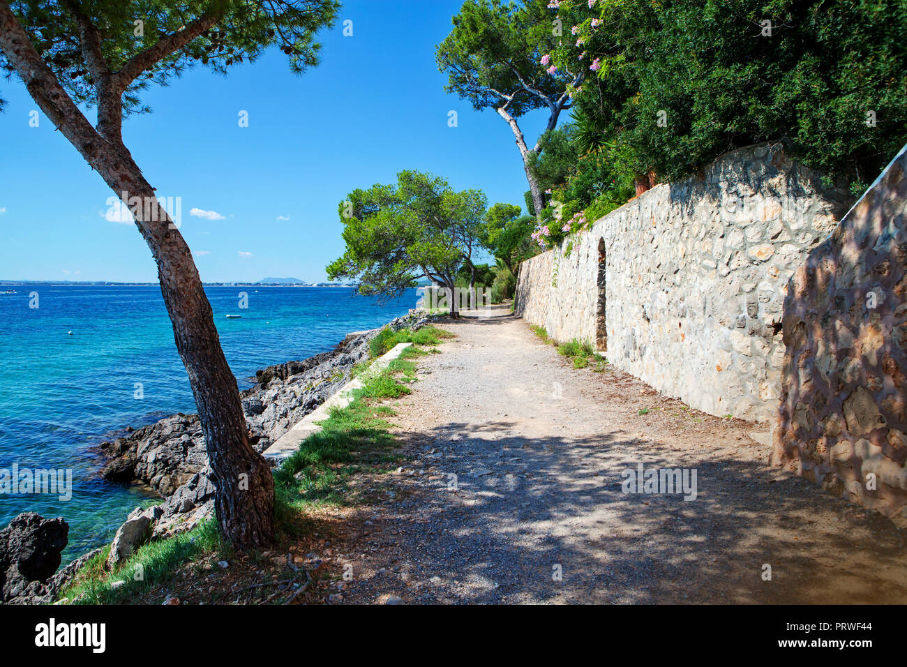 Aucanada beach near Alcudia, Majorca, Spain Stock Photo - Alamy