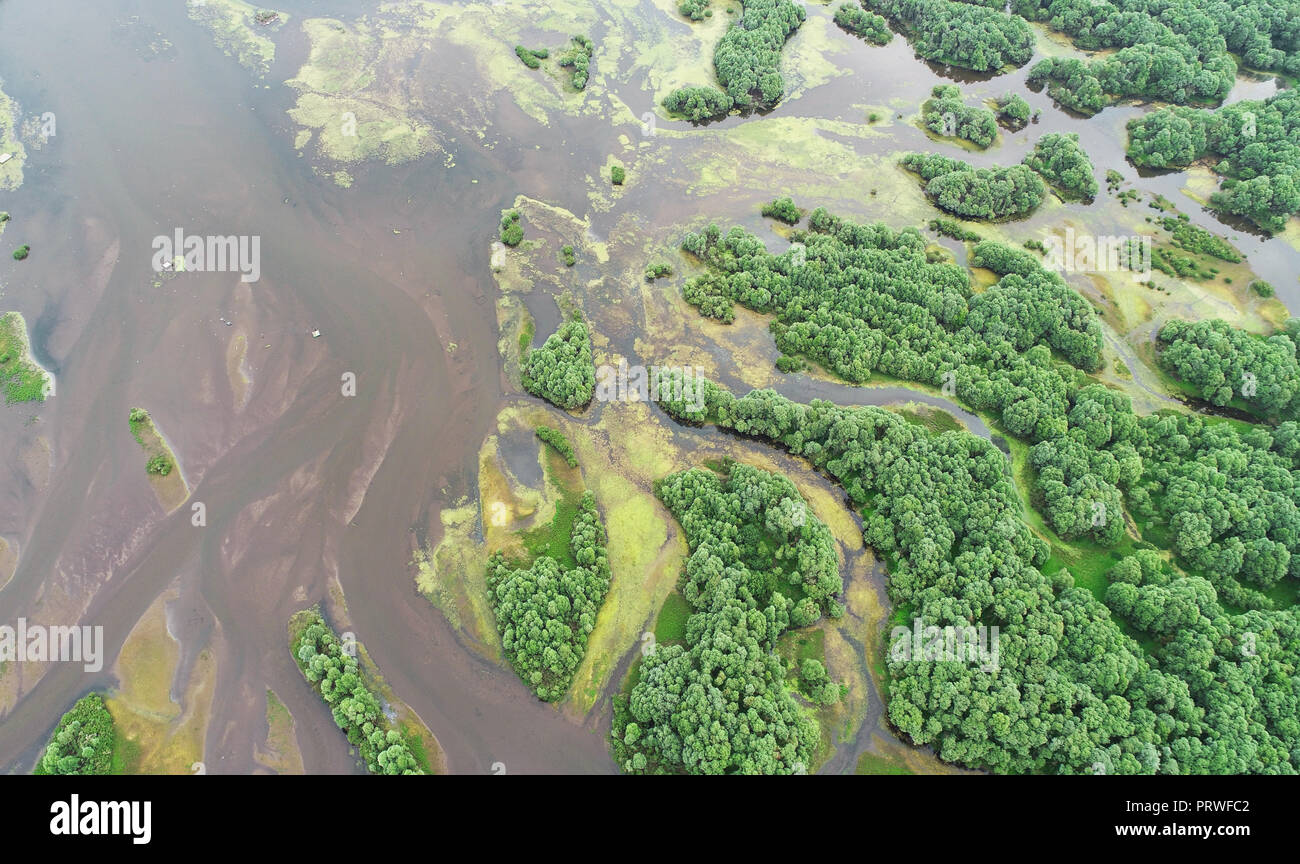 Aerial landscape from the drone - river delta Stock Photo - Alamy