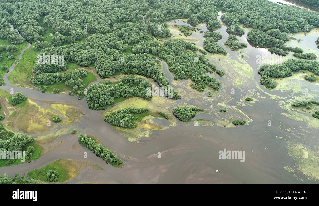 Aerial landscape from the drone - river delta Stock Photo - Alamy