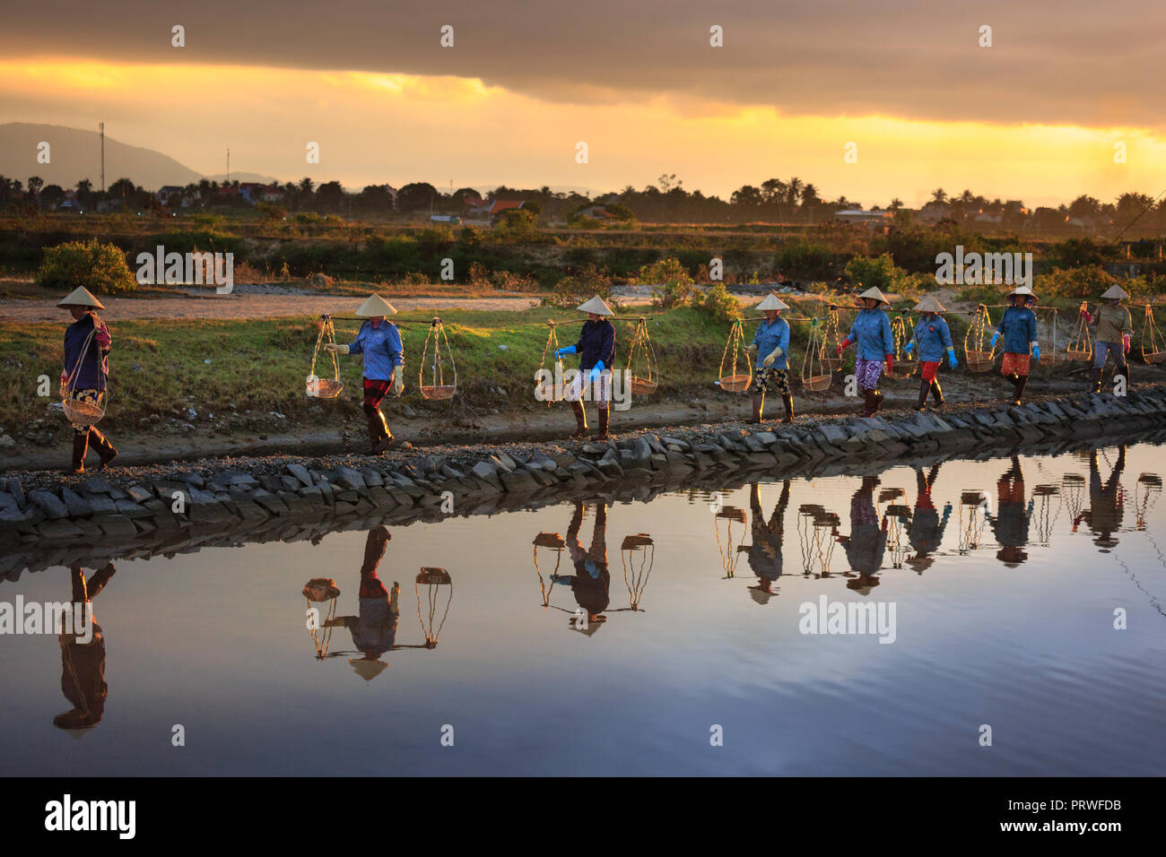 the women are working on salt field at dawn. Salt field Hon Khoi in Nha ...