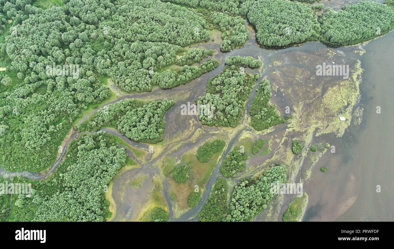 Aerial landscape from the drone - river delta Stock Photo - Alamy
