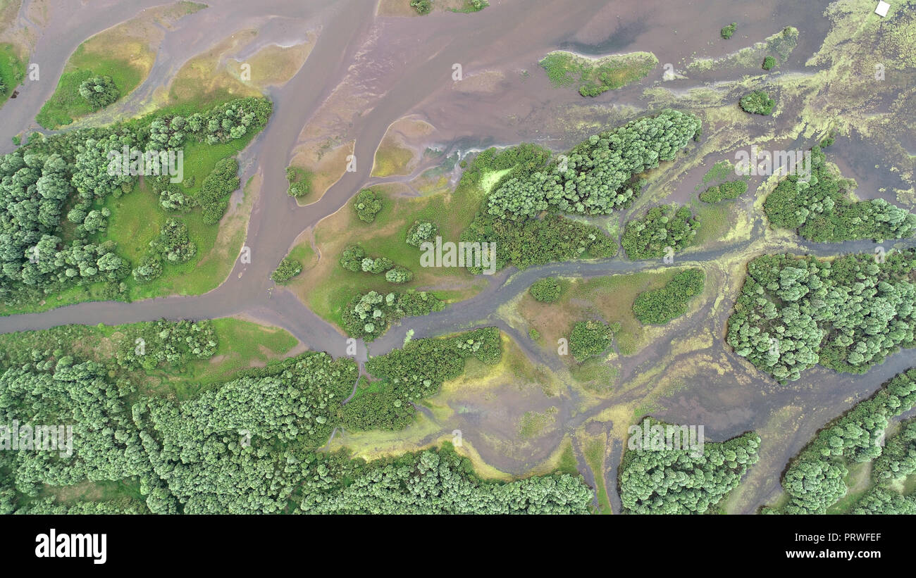 Aerial landscape from the drone - river delta Stock Photo - Alamy