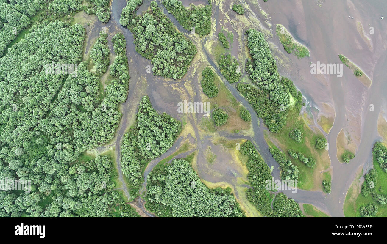 Aerial landscape from the drone - river delta Stock Photo - Alamy