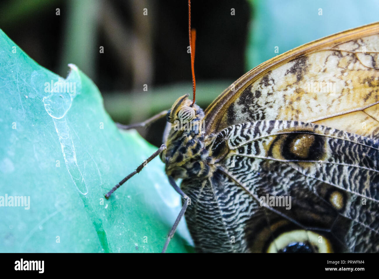 Parque ciencias hi-res stock photography and images - Alamy