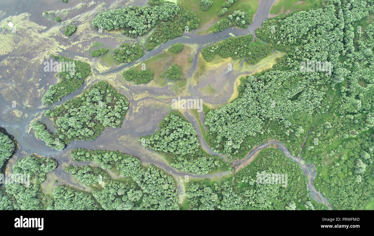 Aerial landscape from the drone - river delta Stock Photo - Alamy