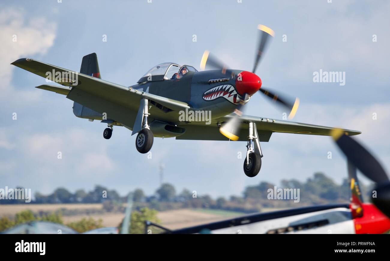 P51 mustang shark hi-res stock photography and images - Alamy