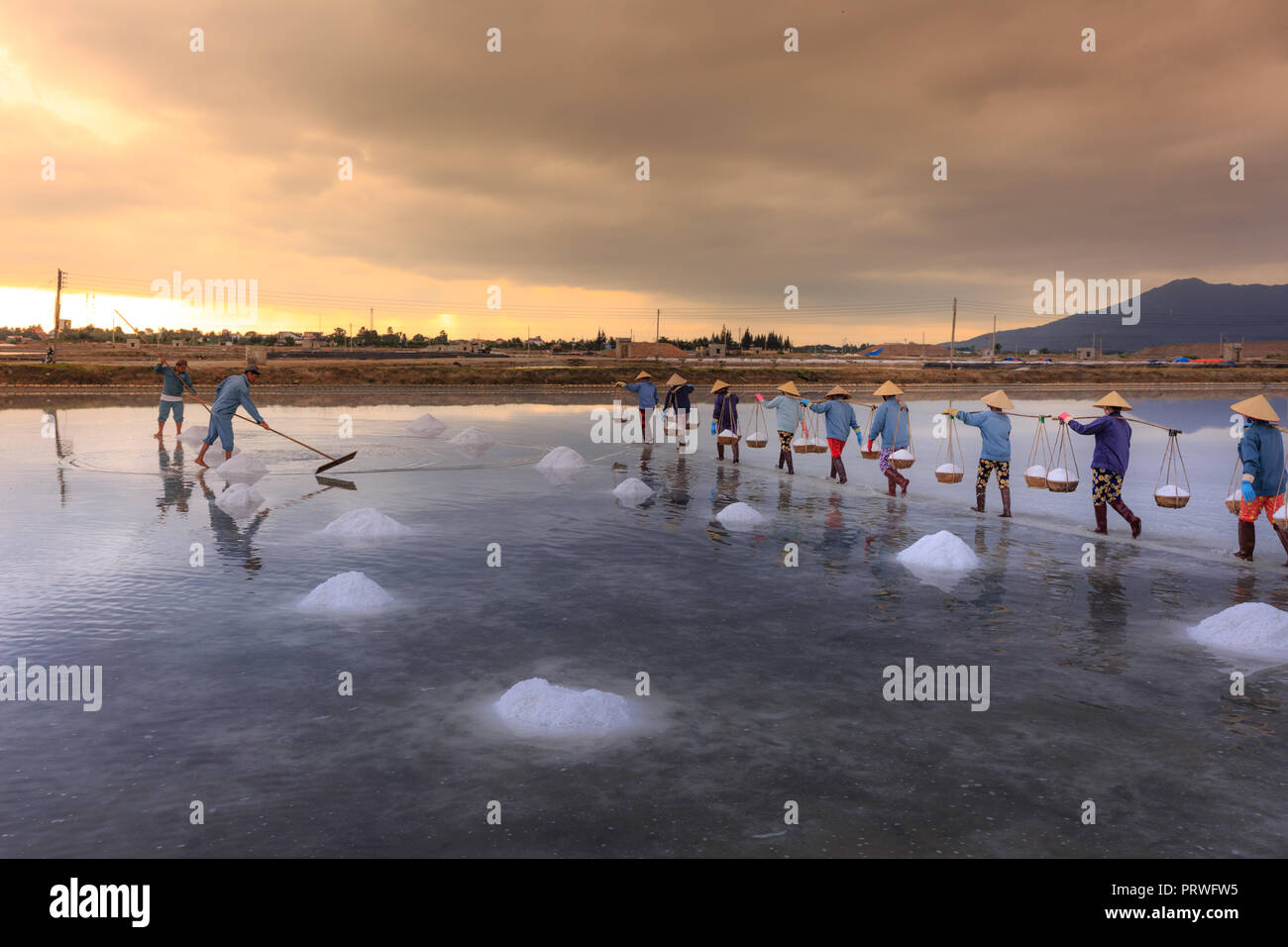 the women are working on salt field at dawn. Salt field Hon Khoi in Nha ...