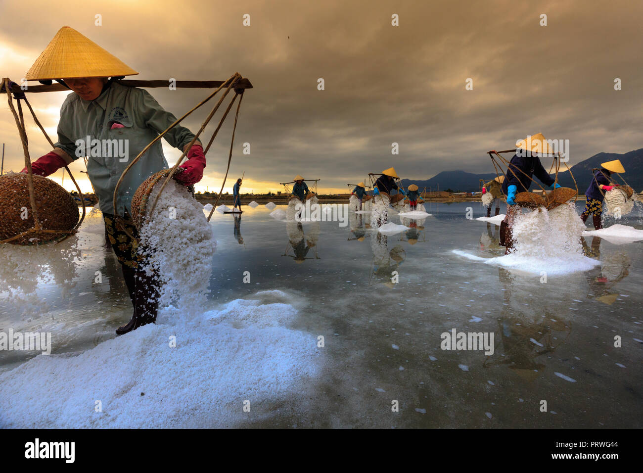 the women are working on salt field at dawn. Salt field Hon Khoi in Nha ...