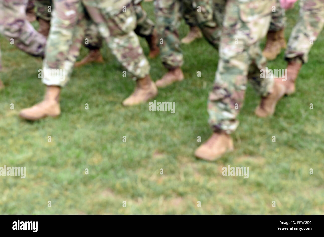 Soldier Camouflage Grass Stock Photos & Soldier Camouflage Grass Stock ...