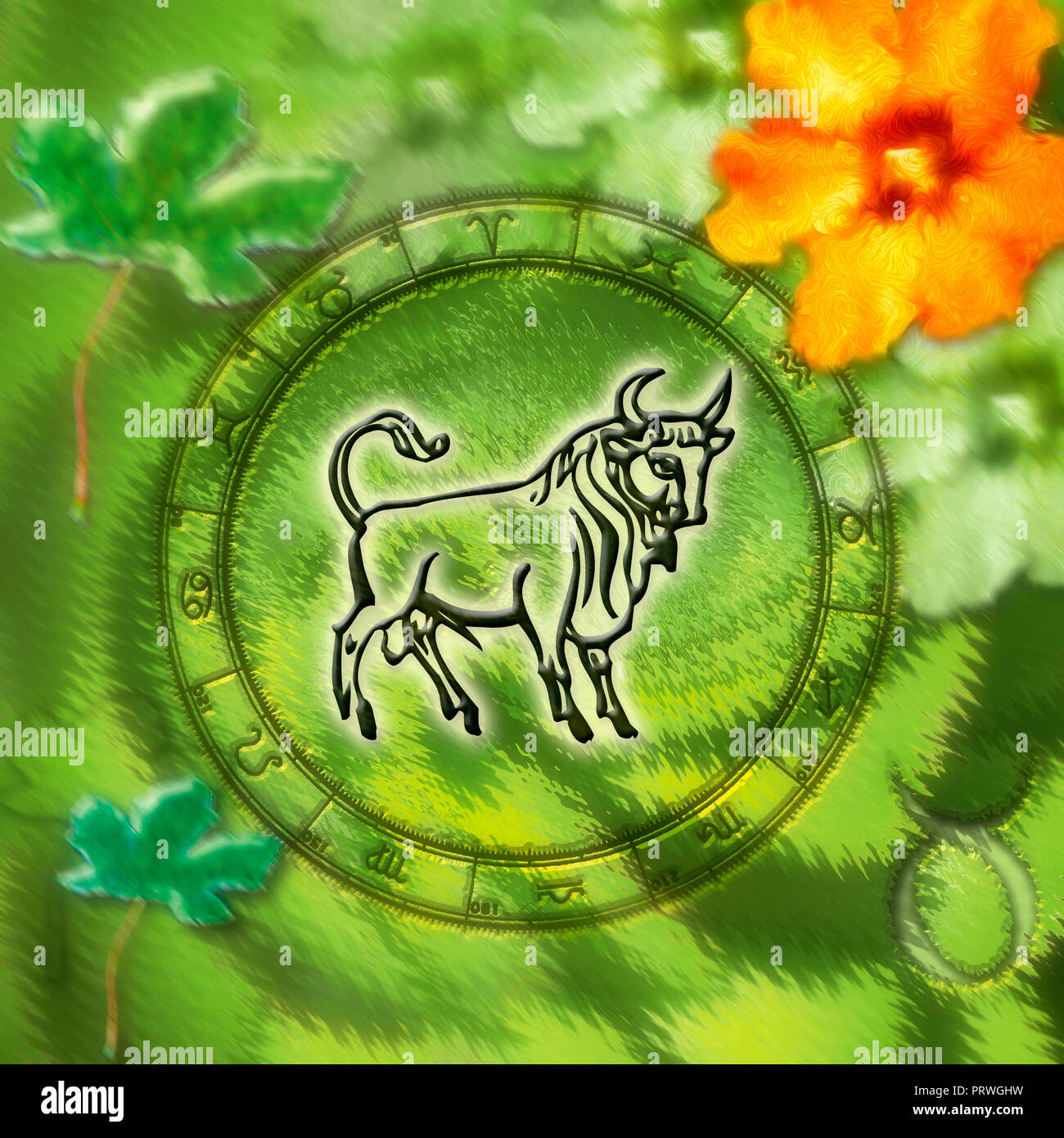 illustration for the astrology sign of Taurus Stock Photo - Alamy