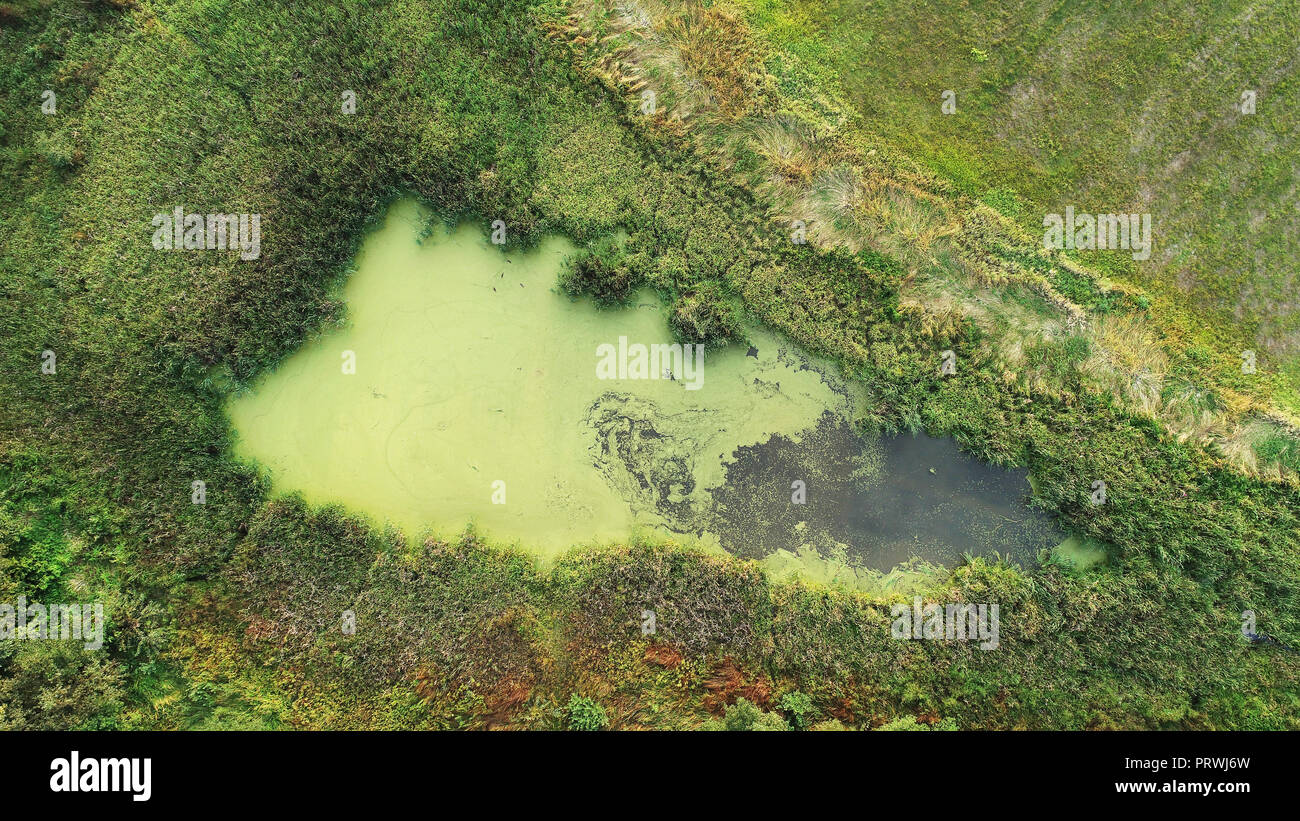 Small pond from the drone Stock Photo - Alamy