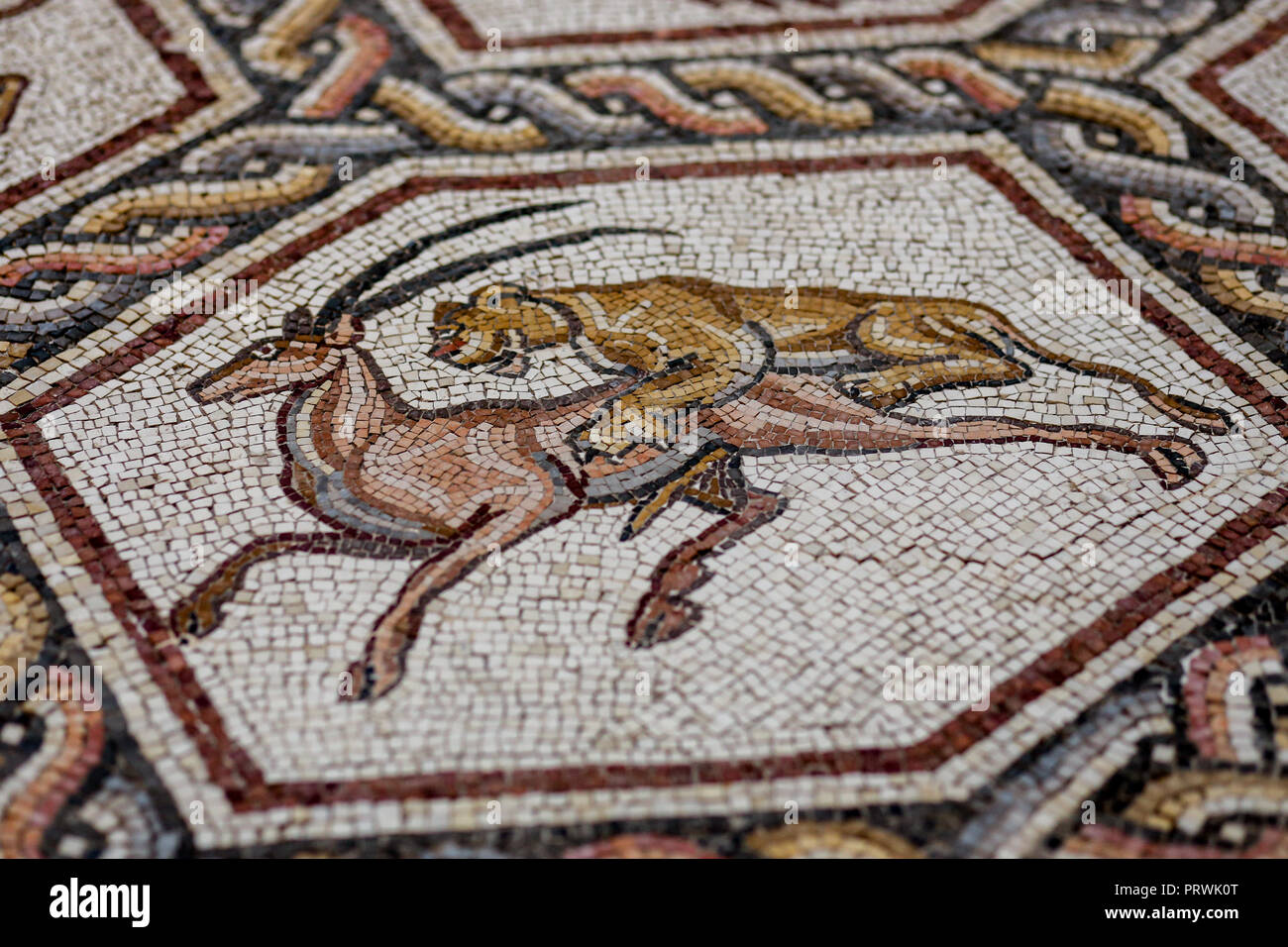 Roman mosaic ancient art tile hi-res stock photography and images - Alamy