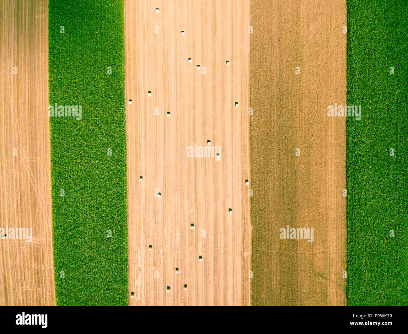 Aerial view of round hay bales on stubble, view from directly above ...