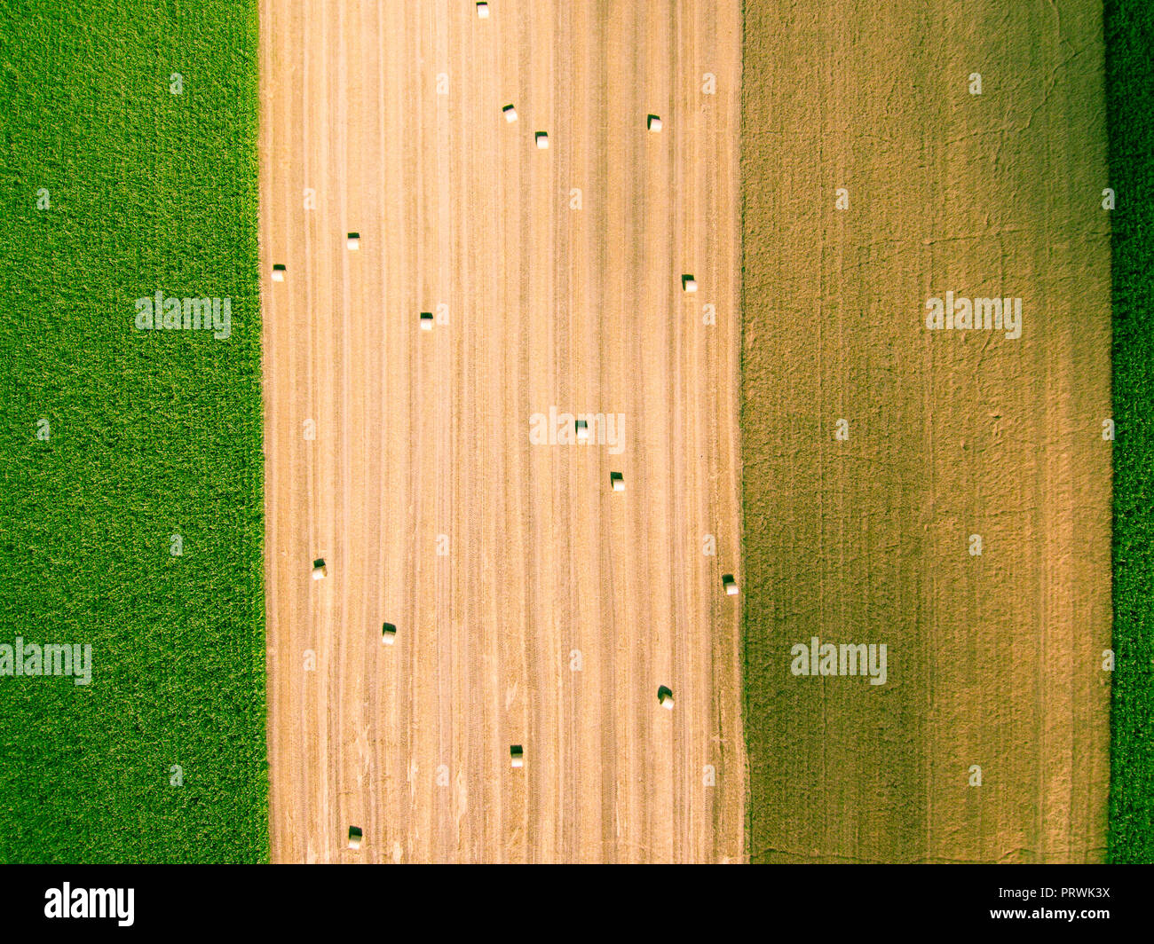 Aerial view of round hay bales on stubble, view from directly above ...