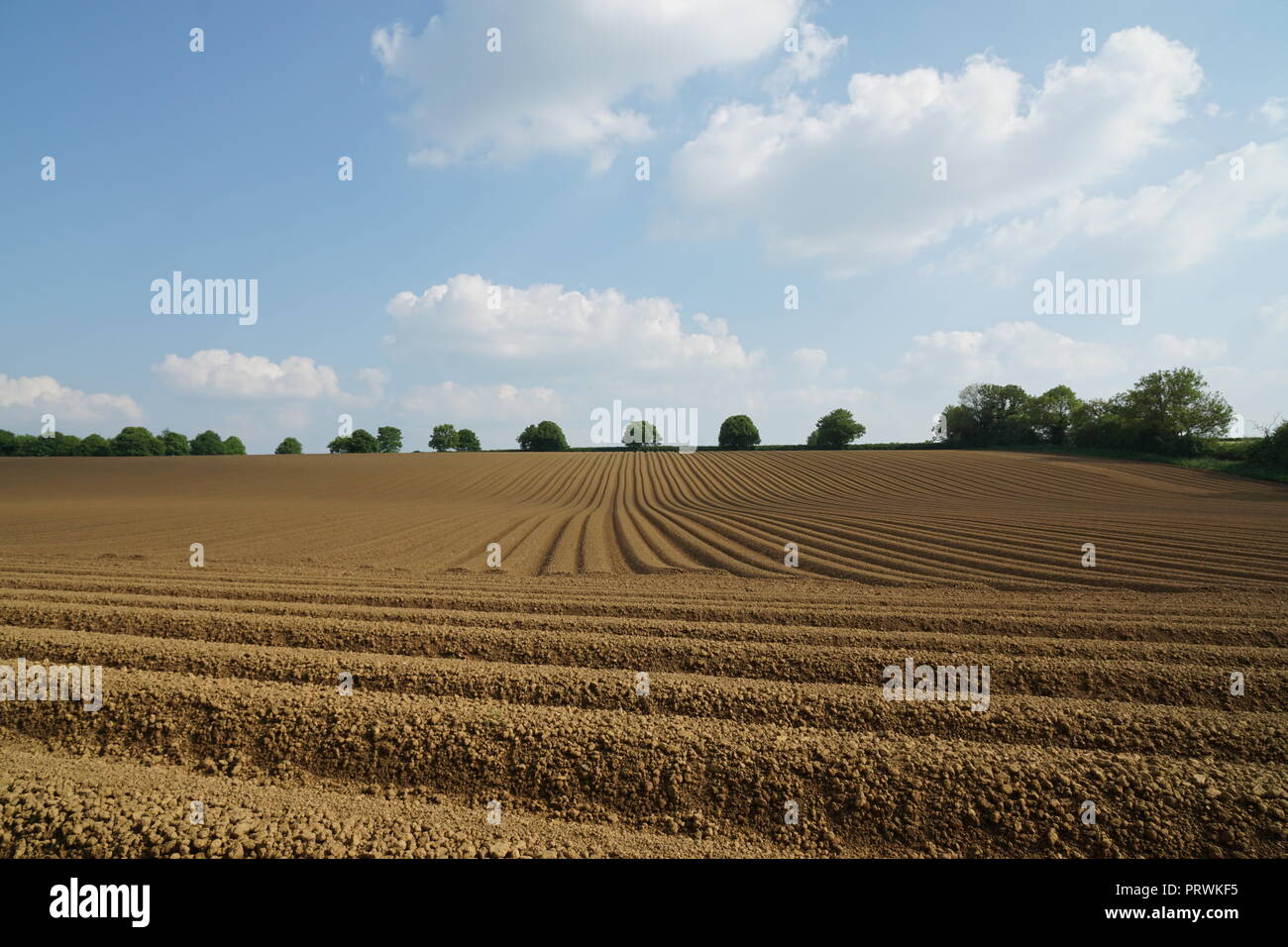Cultivated landscpae hi-res stock photography and images - Alamy
