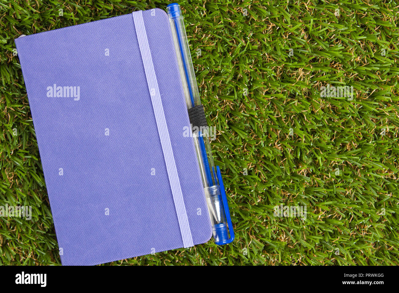 Purple notebook with blue pen on on the green artificial grass Stock ...