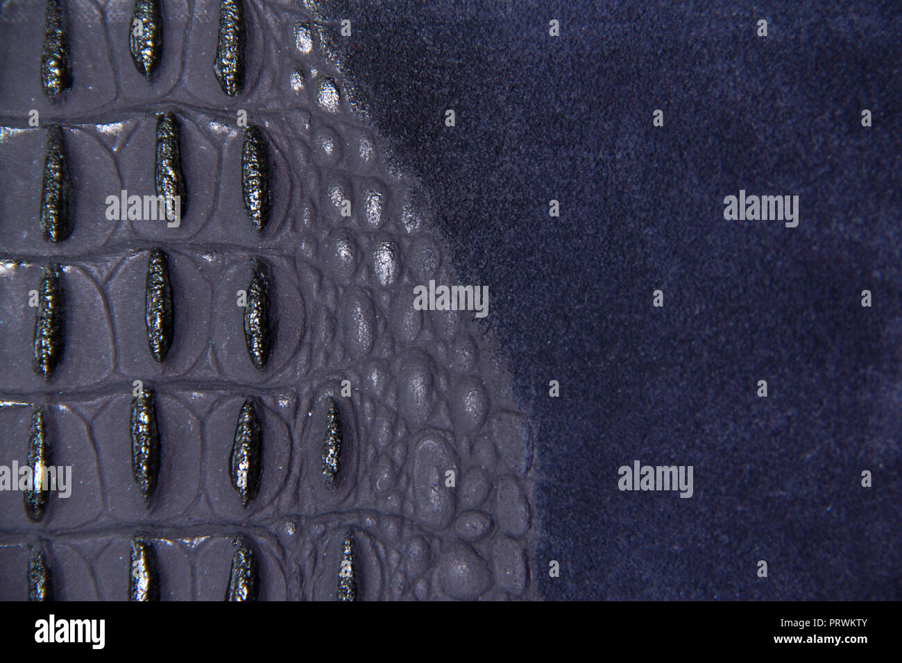 Blue skin texture reptile with suede. Closeup Stock Photo - Alamy