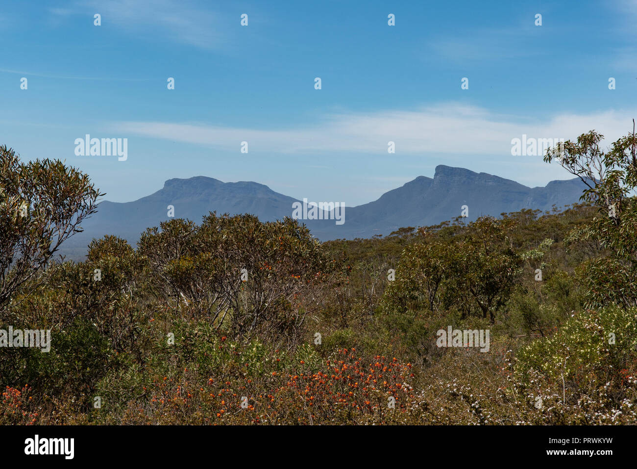 Stirling Range Western Australia High Resolution Stock Photography and ...