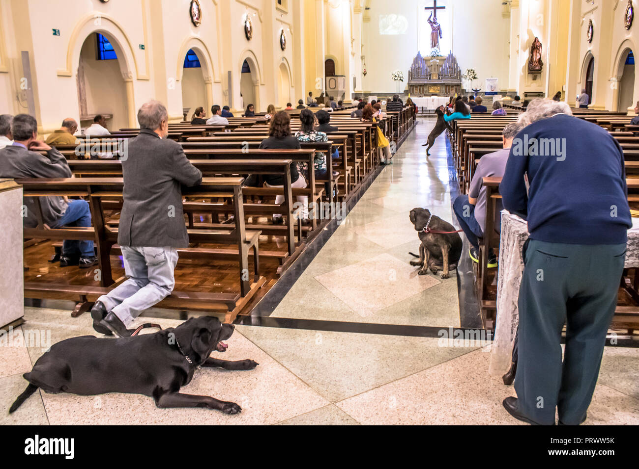 Father paulo ribeiro hi-res stock photography and images - Alamy