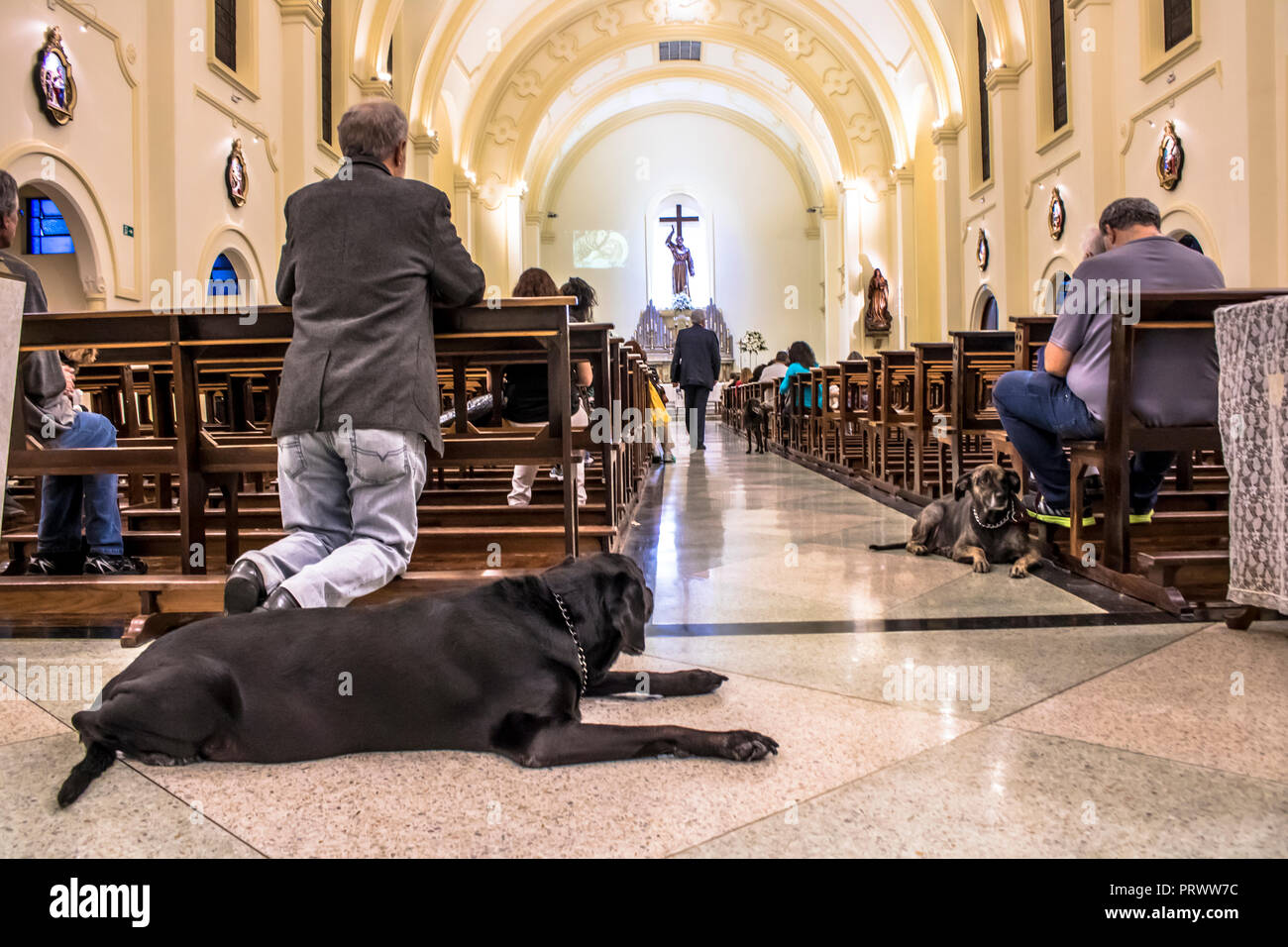 Father paulo ribeiro hi-res stock photography and images - Alamy