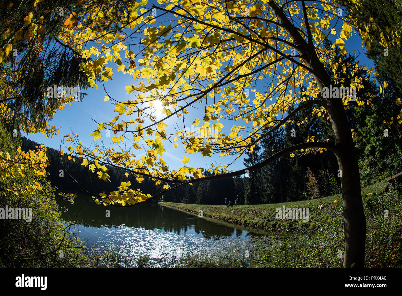 Grumbach hi-res stock photography and images - Alamy