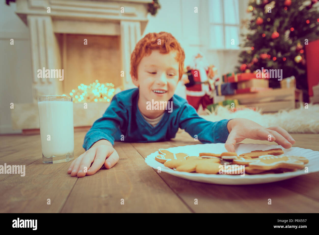 Eat cookies hi-res stock photography and images - Alamy