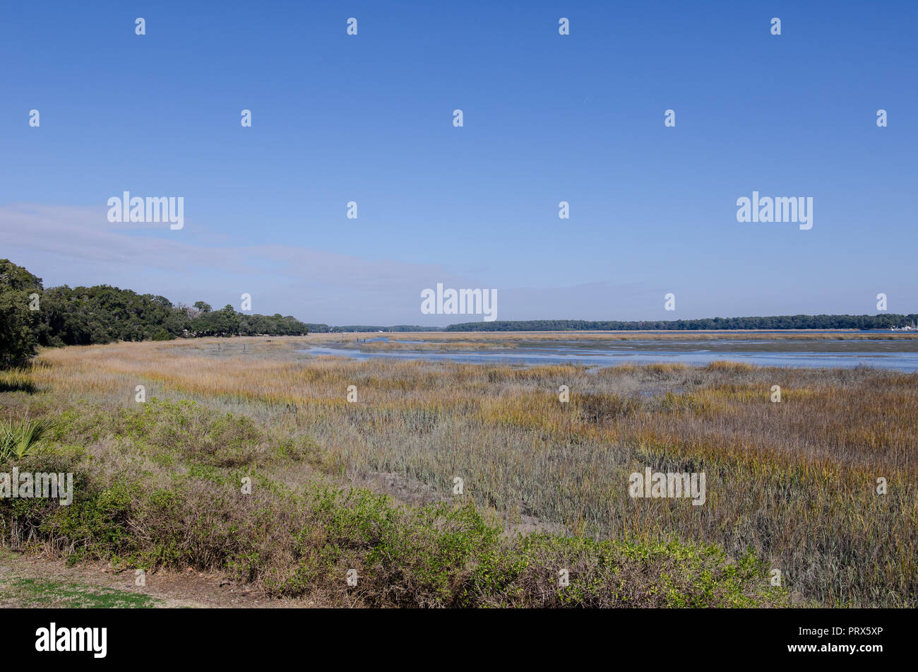 Lowcountry marsh hi-res stock photography and images - Alamy