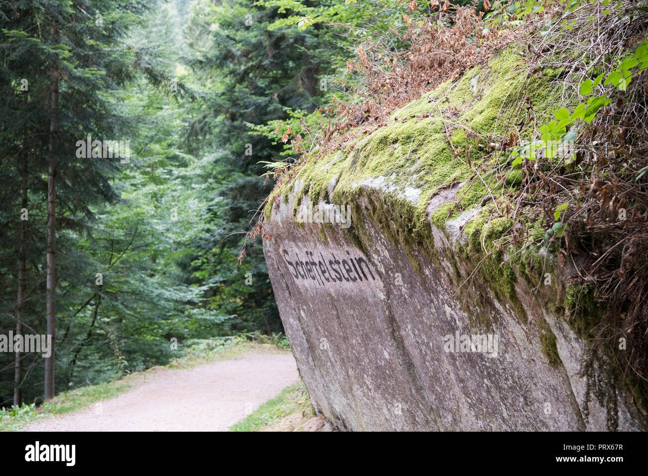 Triberg waterfalls hi-res stock photography and images - Alamy