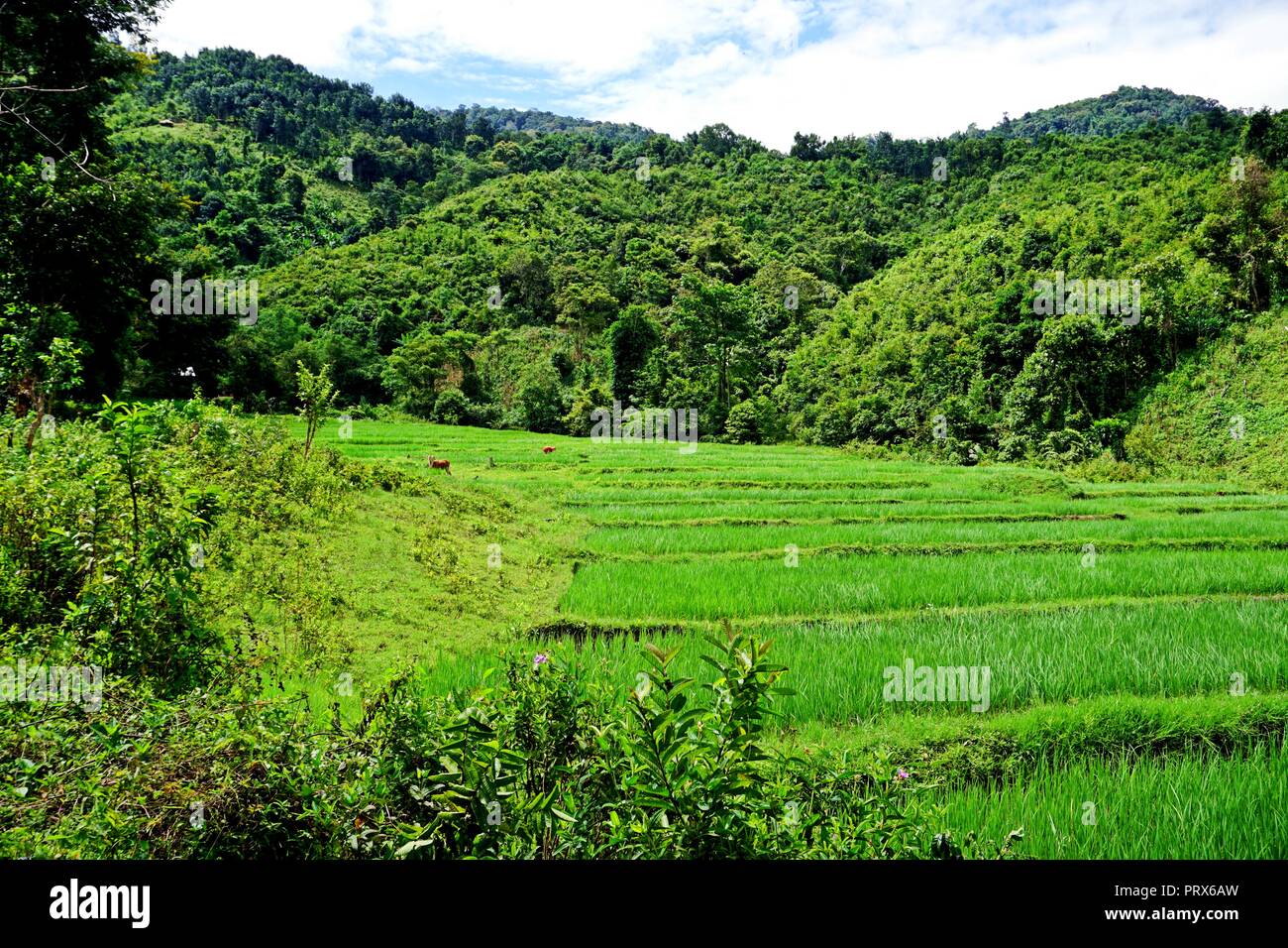 Adequate conditions hi-res stock photography and images - Alamy