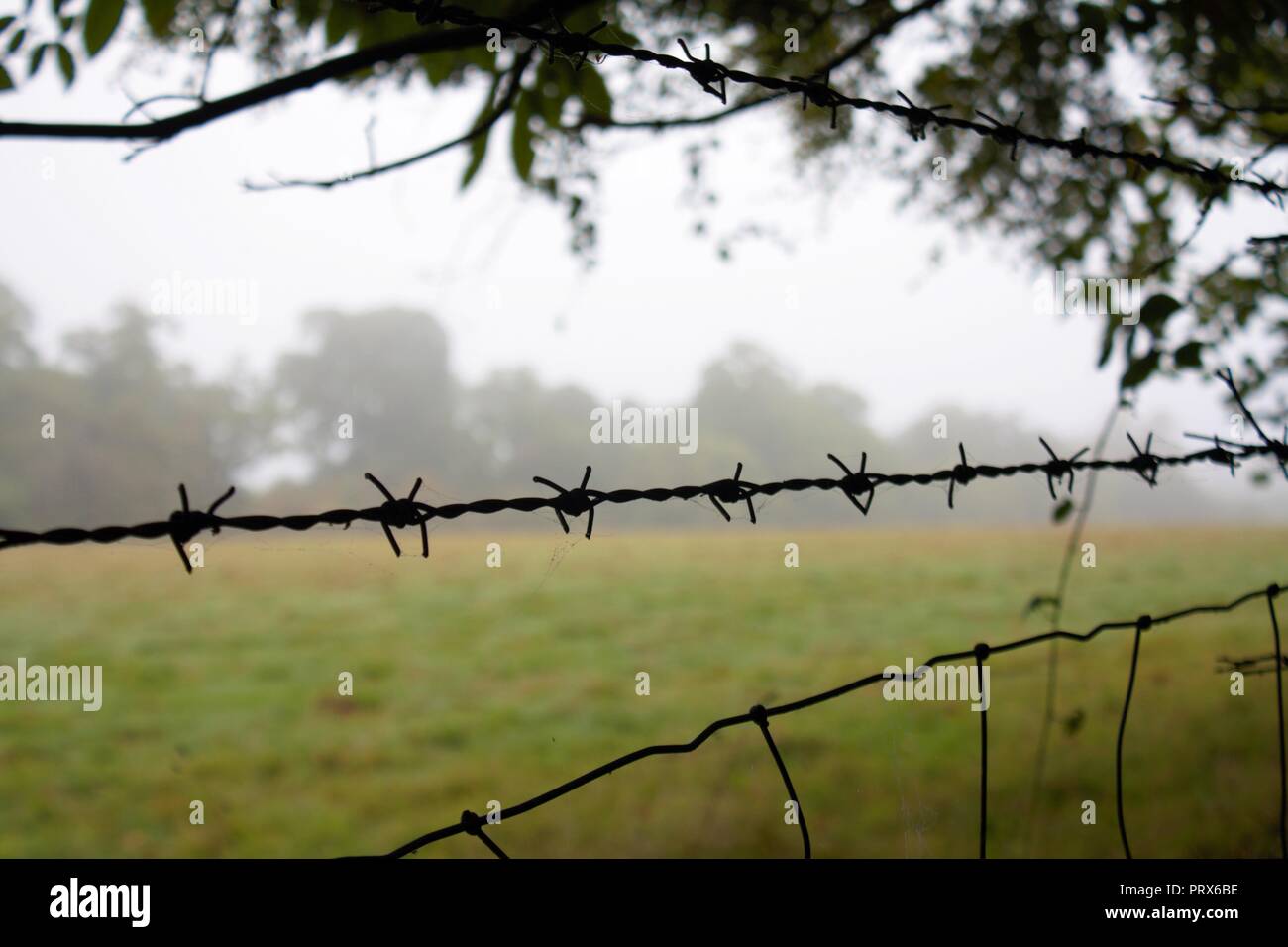Bob wire fence hi-res stock photography and images - Alamy