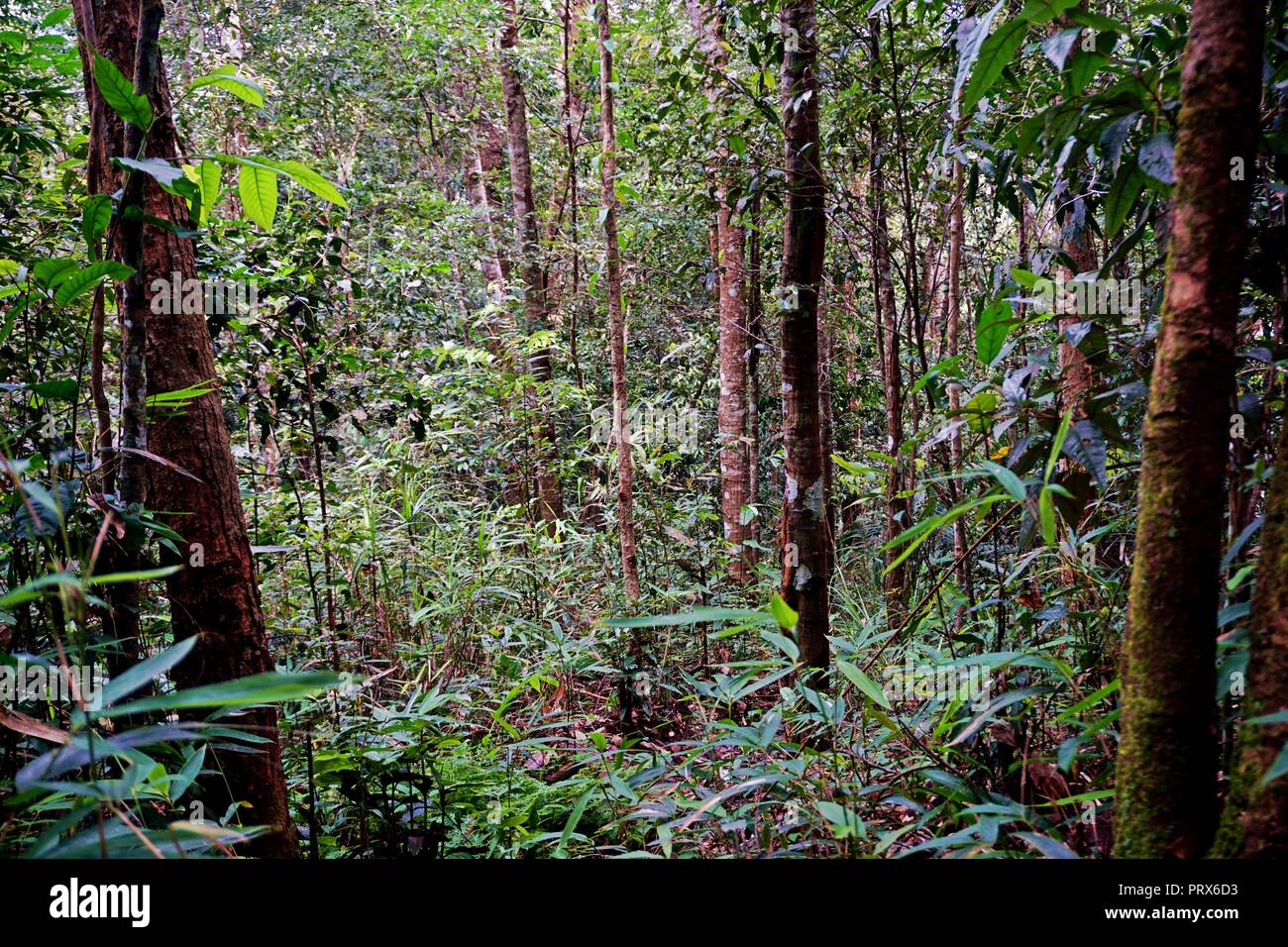 The Nam Ha NPA, located in Luang Namtha province, is Lao s first ...