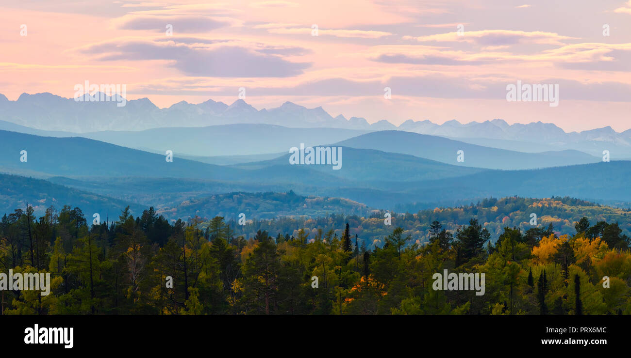 Wide angle panorama autumn forest,misty hills mountain tops in pink ...
