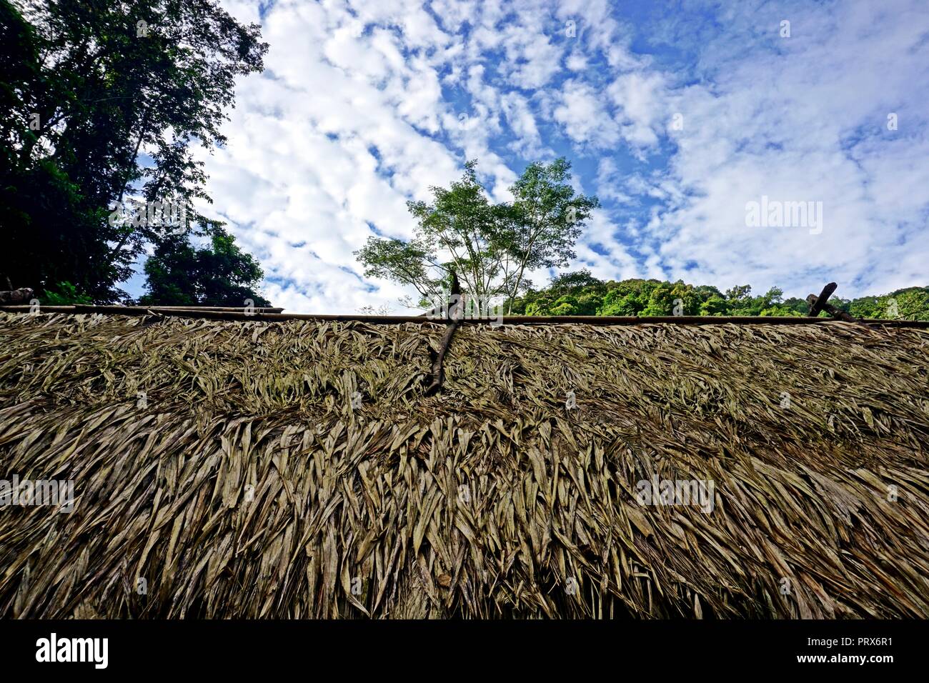 traditional hut, campsite in lush tropical forest, Nam Ha National ...