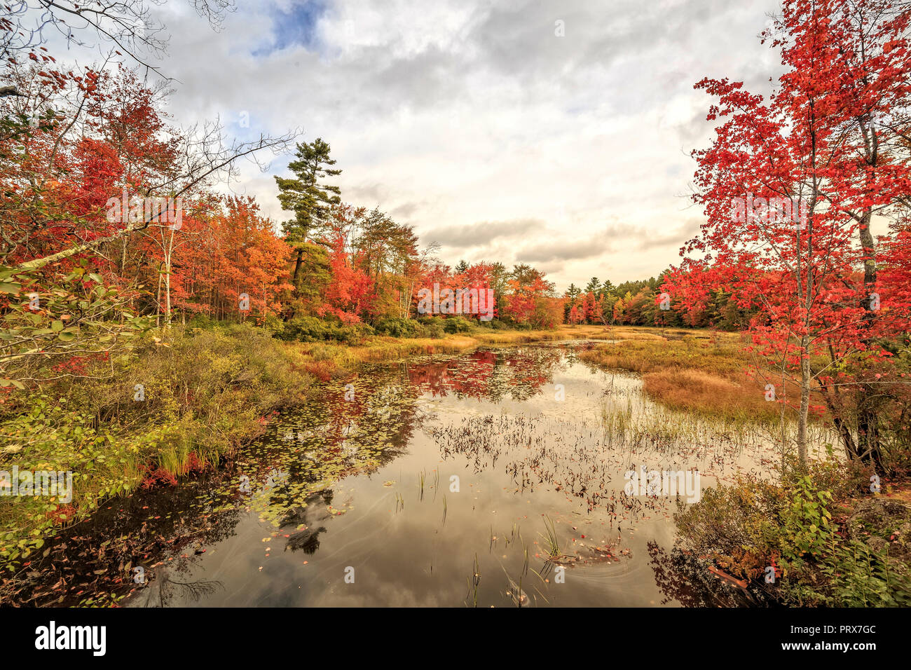 New England fall foliage, autumn in Grantham, New Hampshire Stock Photo ...